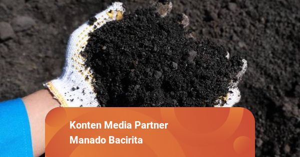 Limbah Batu Bara PLTU Diolah PLN Jadi Material Batako Hingga Tanggul Laut | kumparan.com